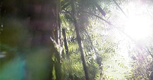 Dedicated to impact finance - Innpact