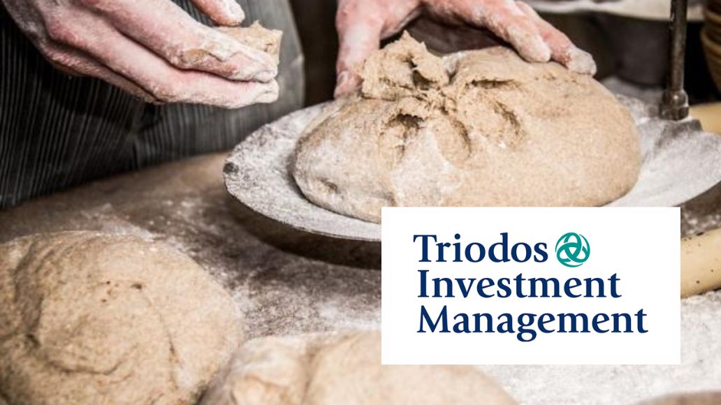 Triodos Microfinance Fund - Innpact