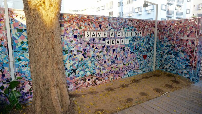 Save a Child’s Heart - Innpact