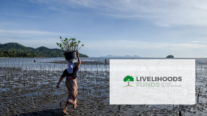 Dedicated to impact finance - Innpact