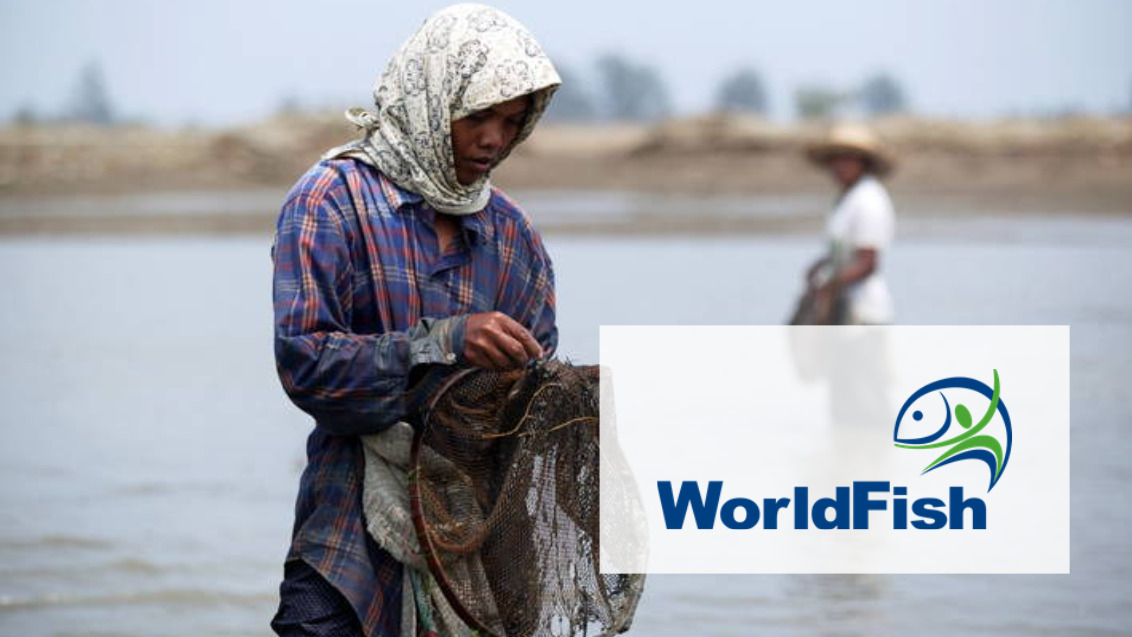 WorldFish - Innpact