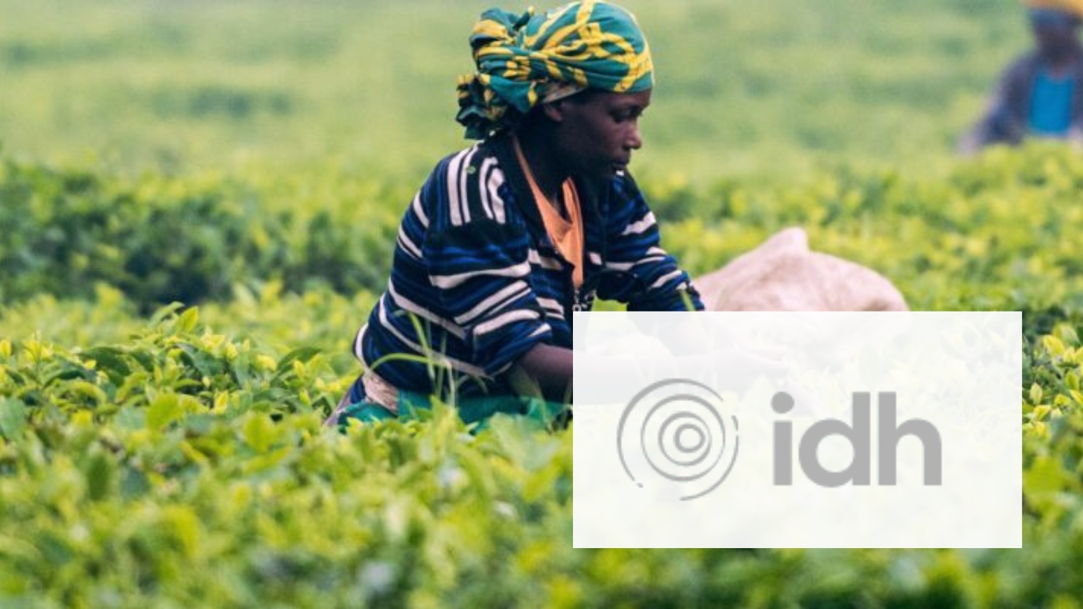 Dedicated to impact finance - Innpact